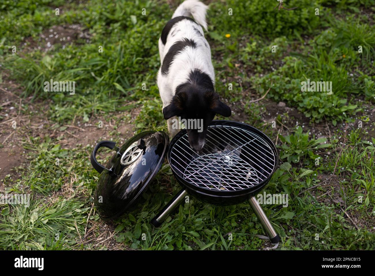 Empty Barbecue Grill Close-up In The Backyard Lawn At Summer Stock ...