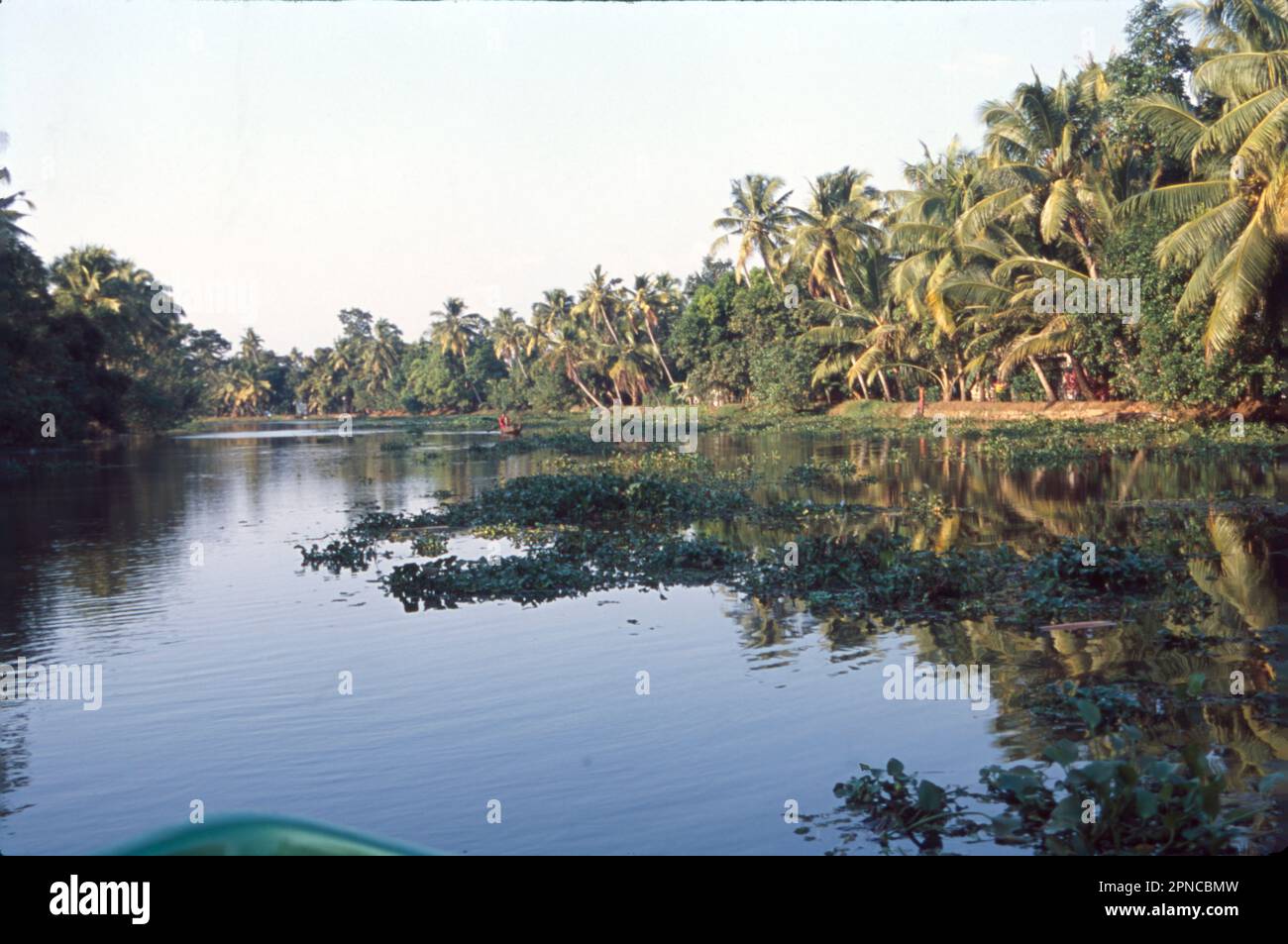 The scenic backwaters of Kerala comprise a serene stretch of lakes ...