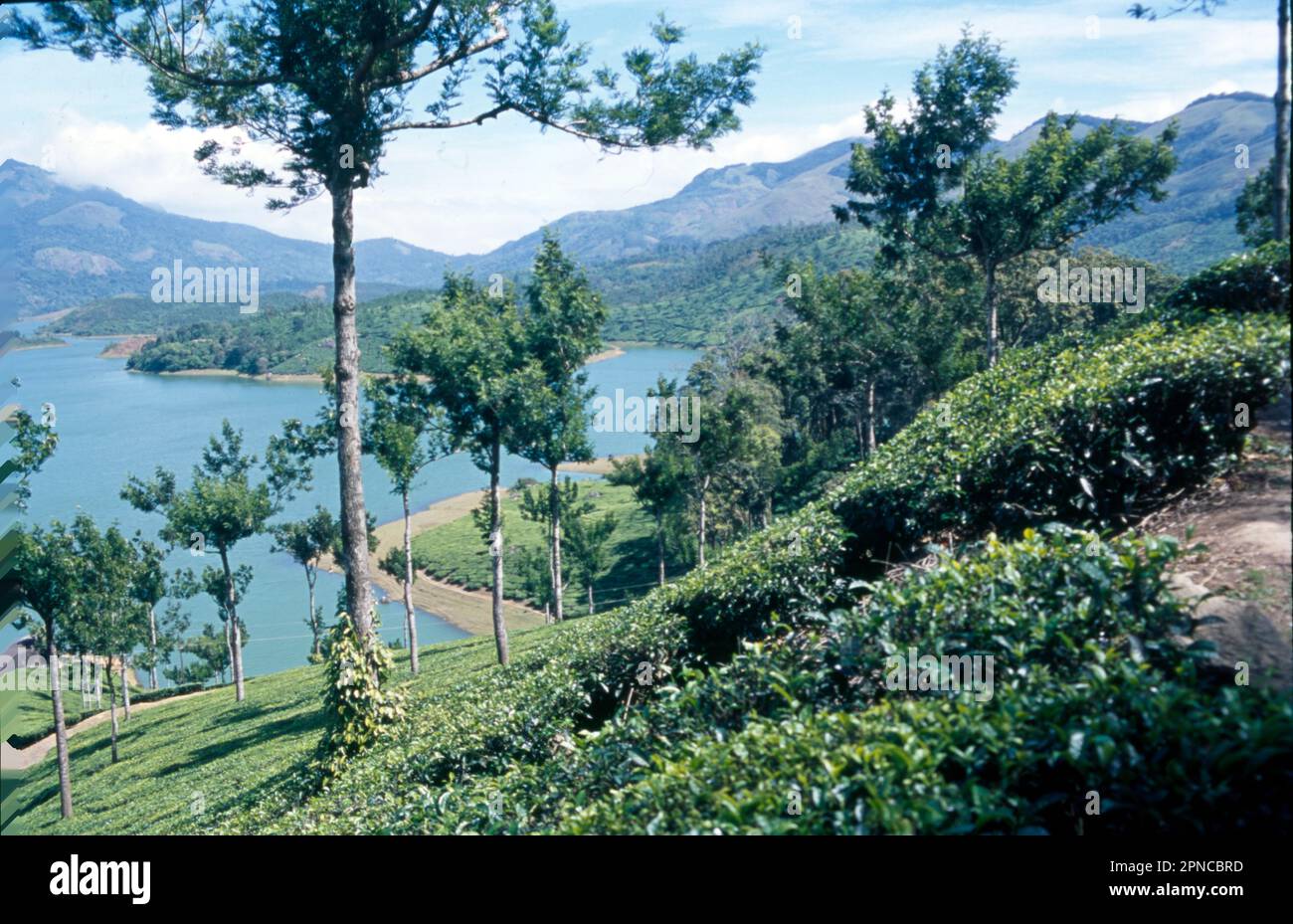 Munnar is a town in the Western Ghats mountain range in India’s Kerala ...