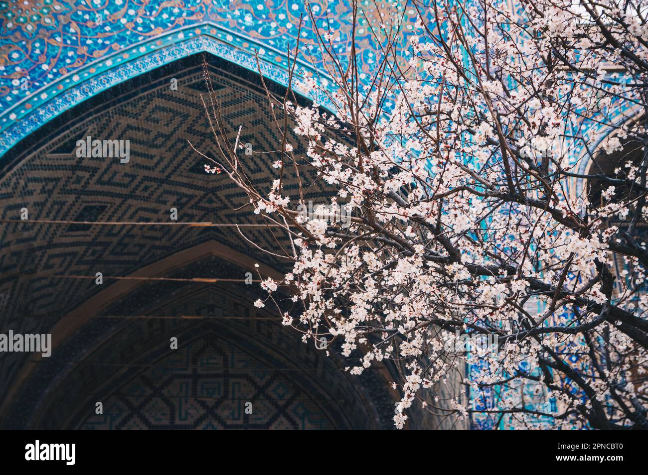 Islamic blue mosque pattern of Persian empire in full spring bloom ...