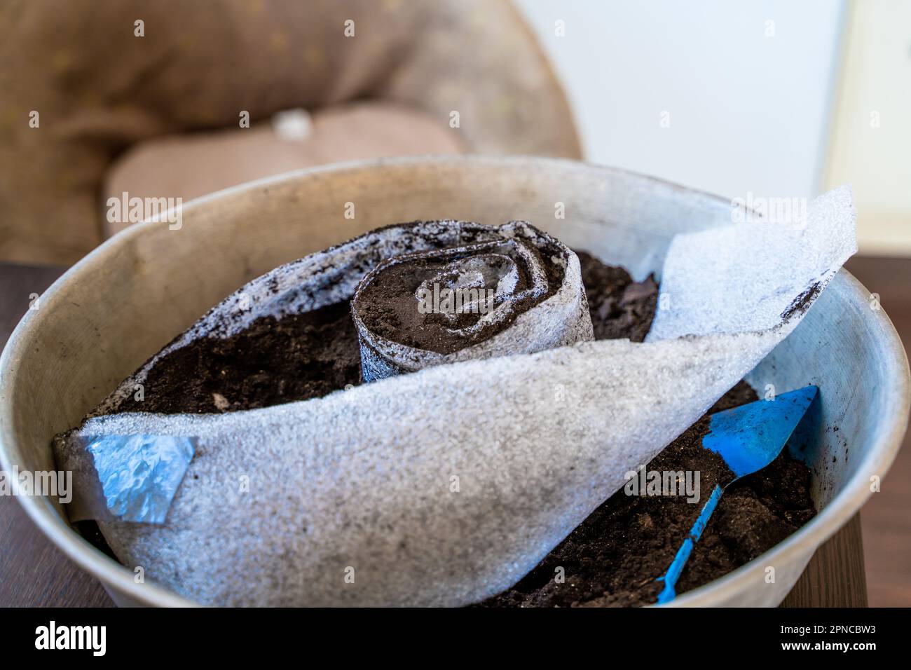 A new method of germinating seedlings in rolls. Fertilized soil with ...