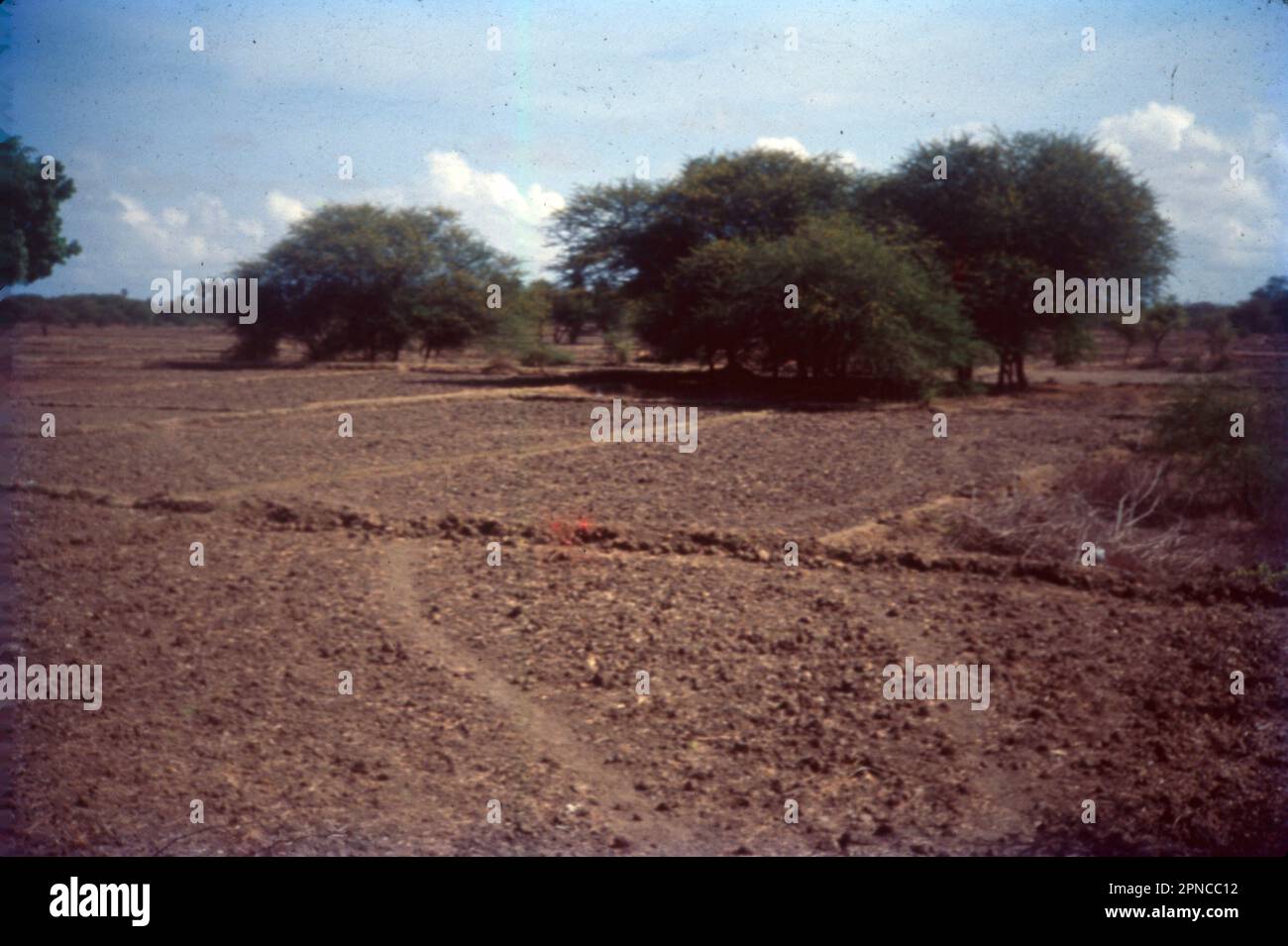 Land Scape, Agricultural Land, India Stock Photo - Alamy