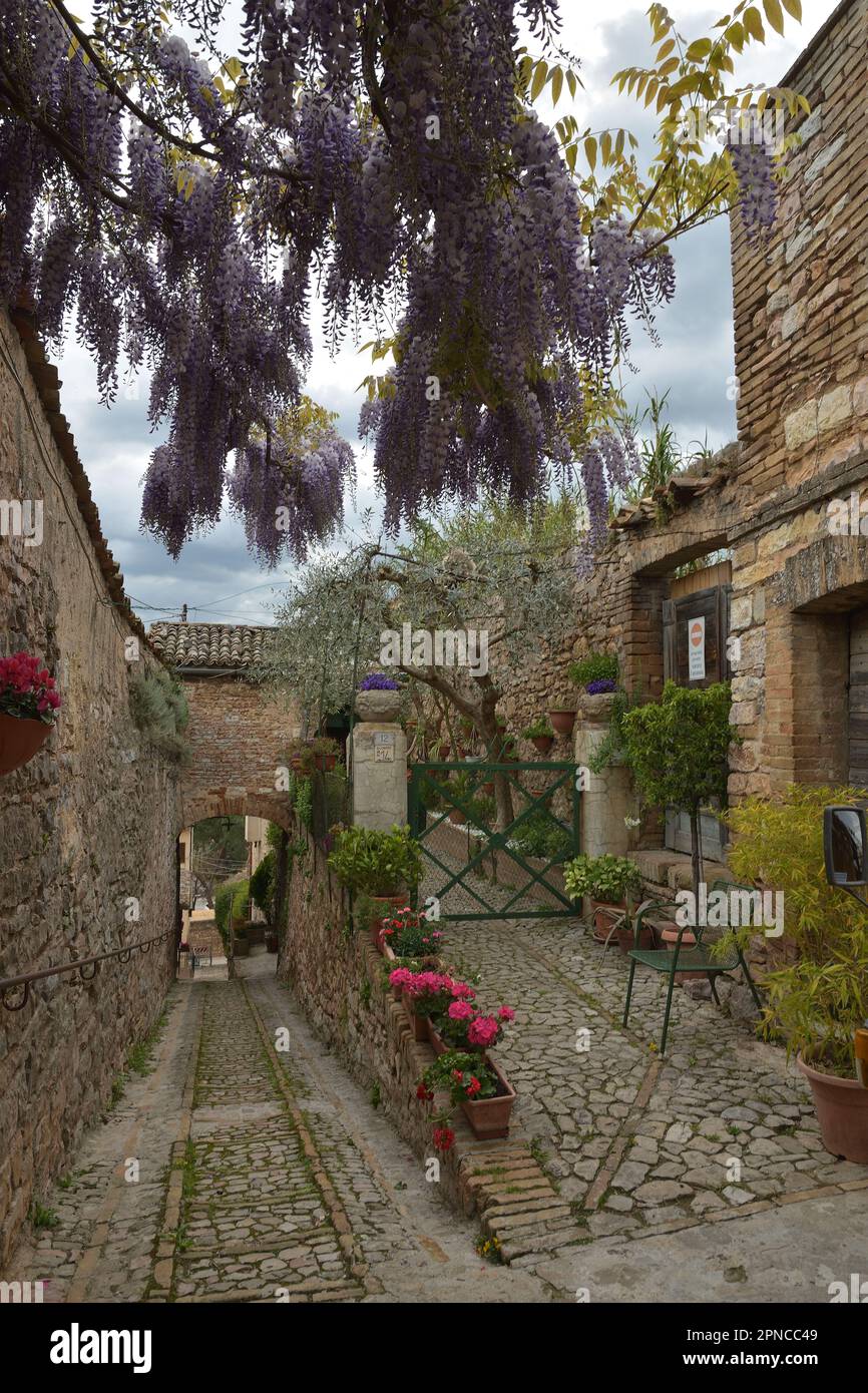 Charming floral narrow streets of typical italian village Stock Photo ...