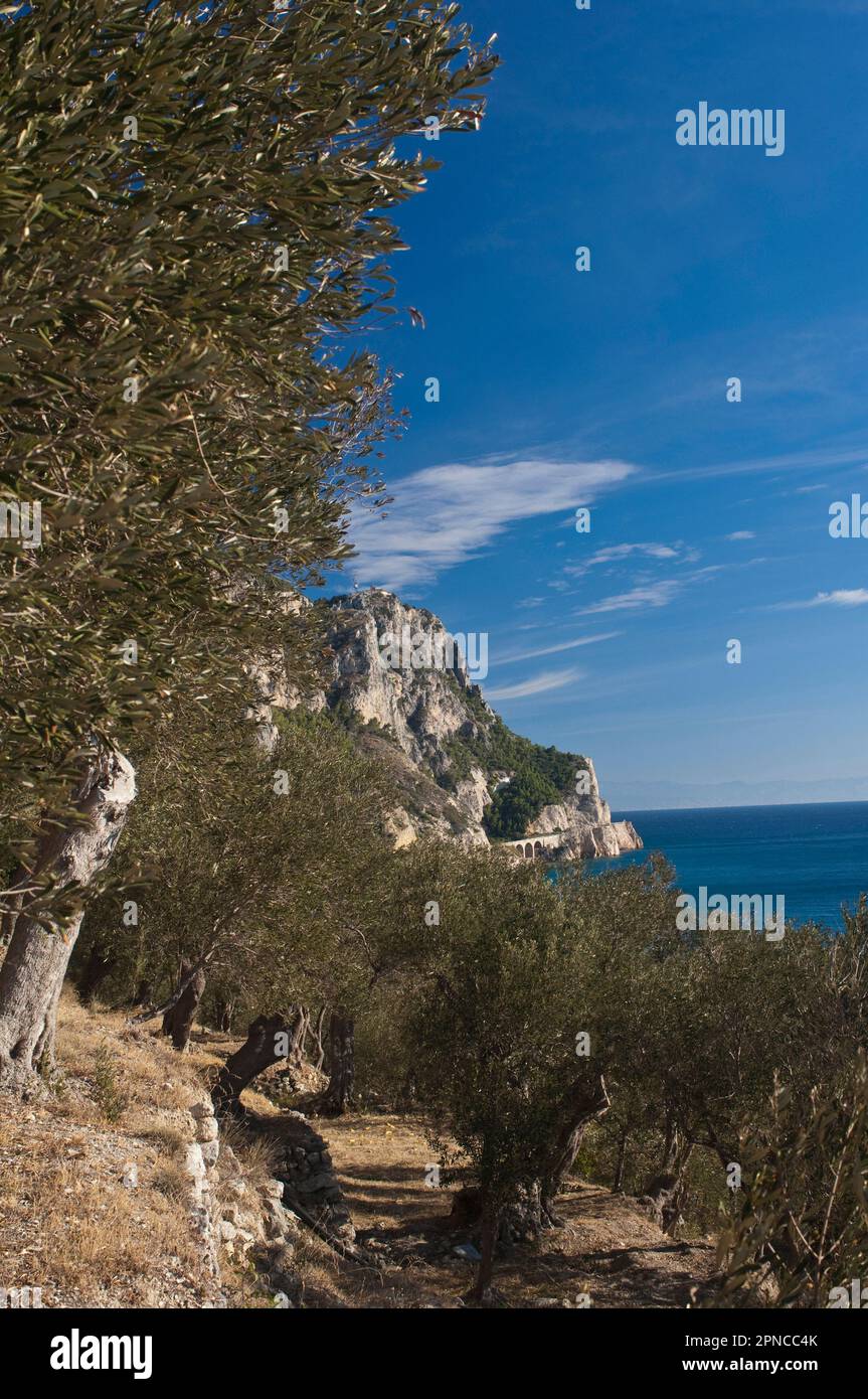 Excursion to the Capo Noli traffic light, climbing from Varigotti. View ...