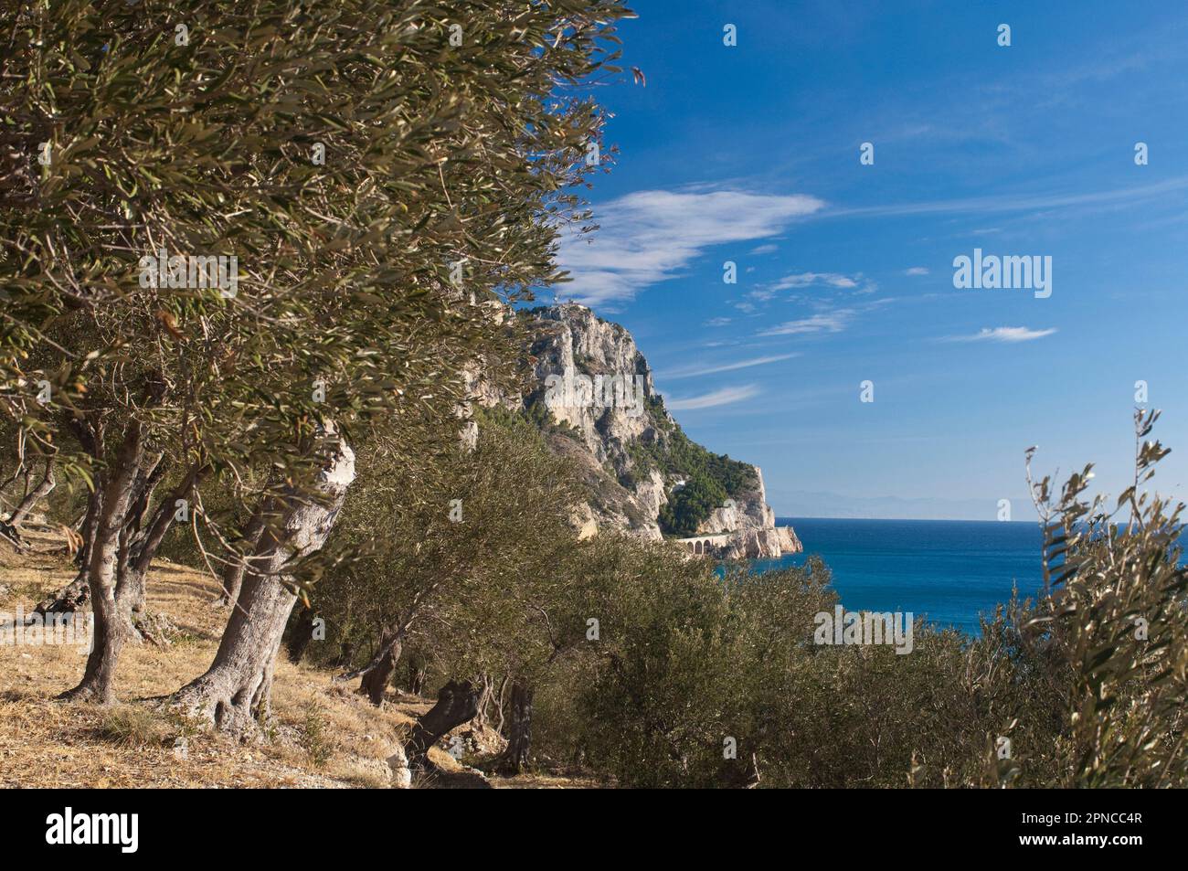 Excursion to the Capo Noli traffic light, climbing from Varigotti. View ...