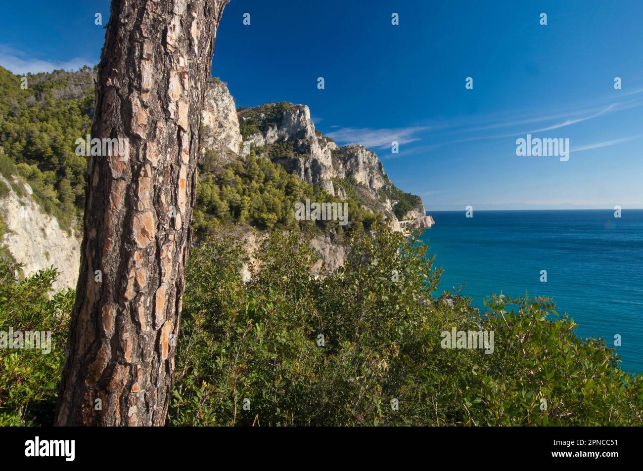 Excursion to the Capo Noli traffic light, climbing from Varigotti. View ...