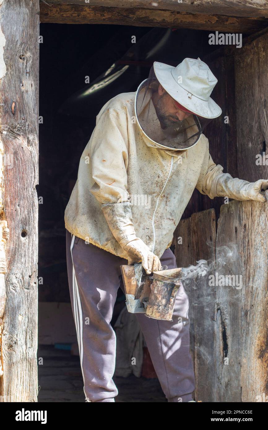 Beekeeping smoker. The beekeeper lighting it with different fuels and ...