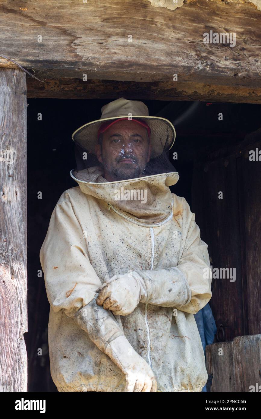 Beekeeping smoker. The beekeeper lighting it with different fuels and ...