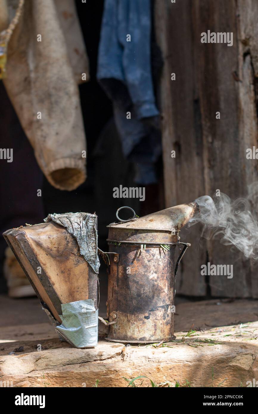 Beekeeping smoker. The beekeeper lighting it with different fuels and ...
