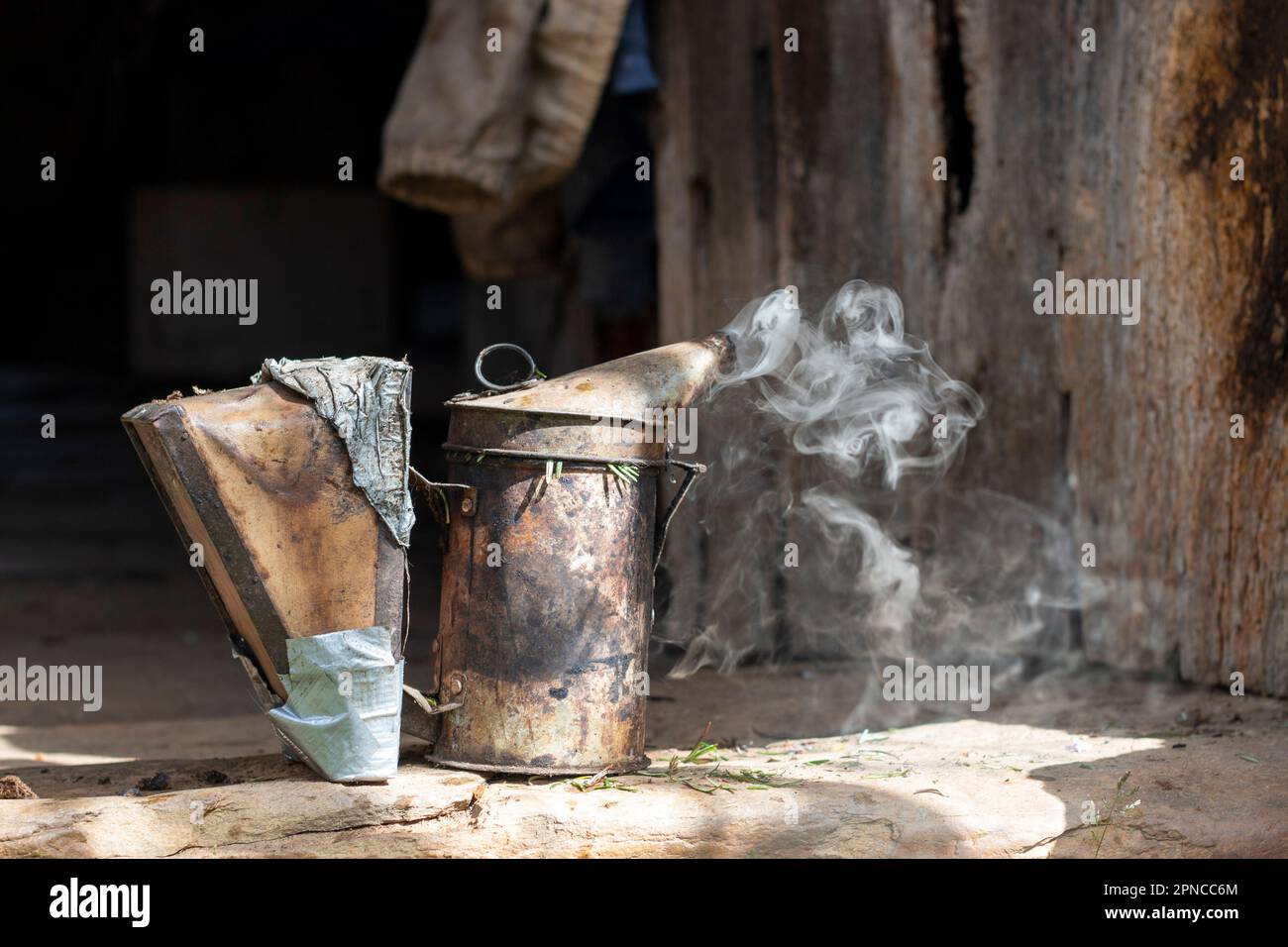 Beekeeping smoker. The beekeeper lighting it with different fuels and ...