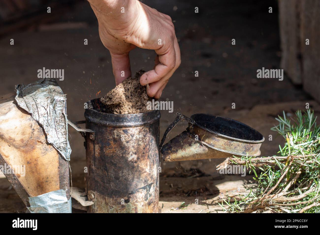 Beekeeping smoker. The beekeeper lighting it with different fuels and ...