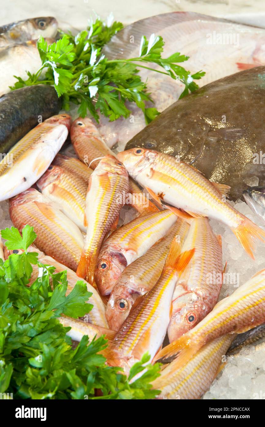 The fish market Pescheria Clelia, in the photo the catch of the day ...