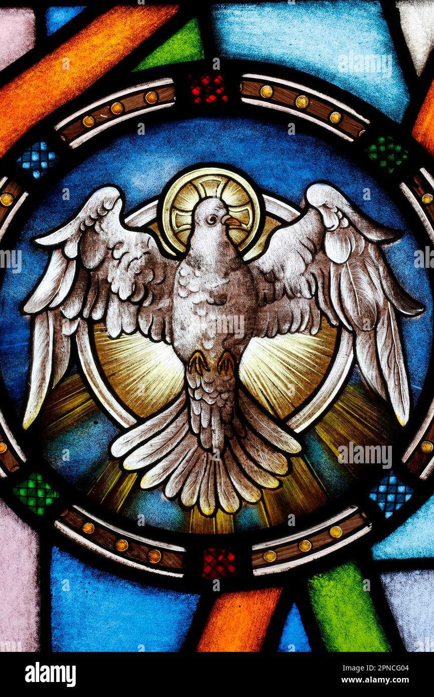 Song Vinh Church. Stained glass. A white dove representing the Holy ...