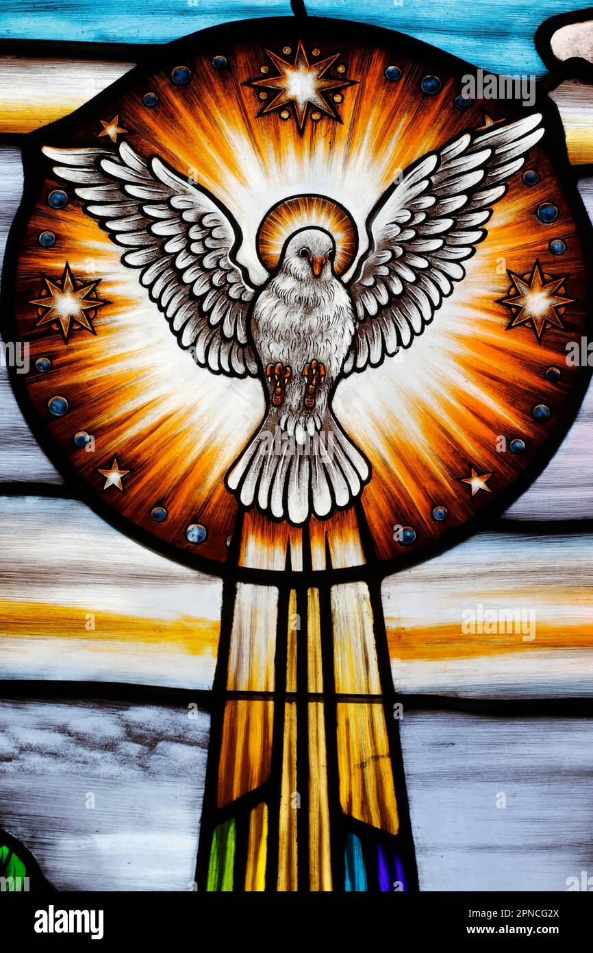 Church Dove