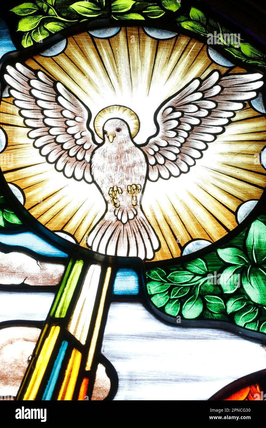 Song Vinh Church. Stained glass. A white dove representing the Holy ...