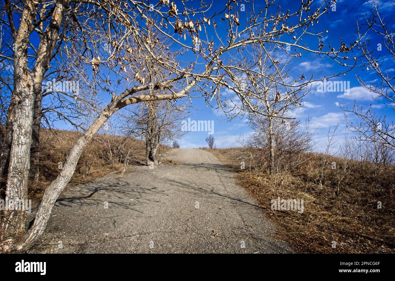 Nose hill park calgary hi-res stock photography and images - Alamy