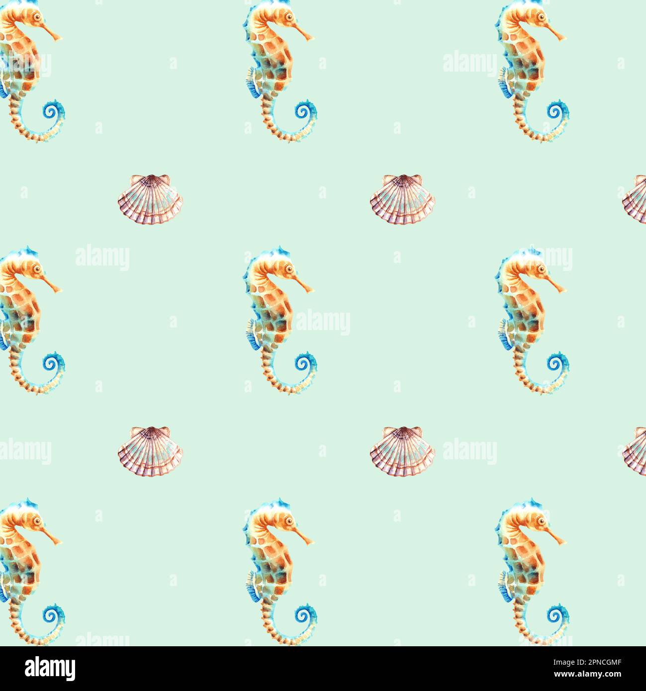 A pattern of seahorses and seashells. Watercolor illustration. Collage ...