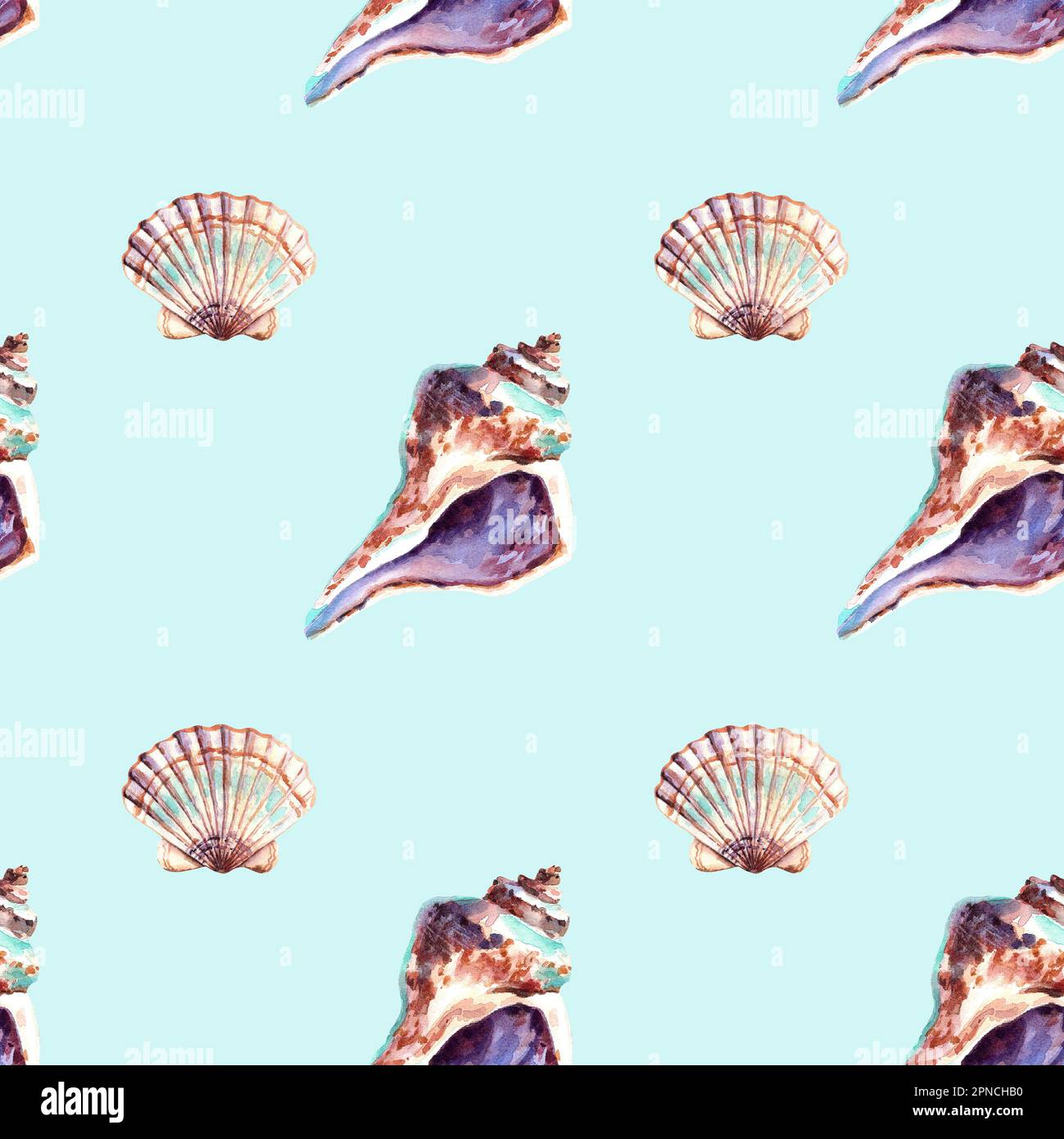 A pattern of seashells. Watercolor illustration. Marine animals ...