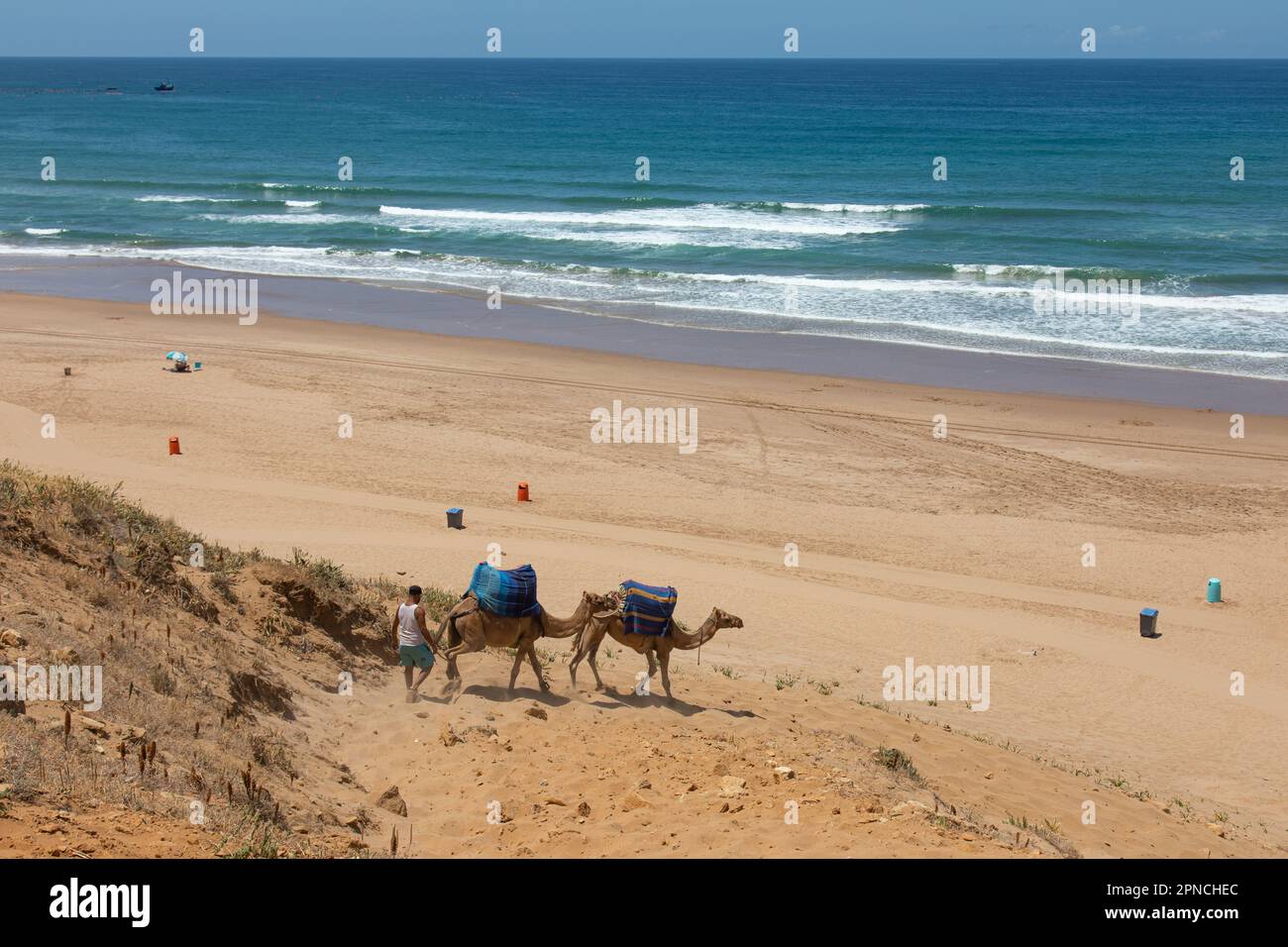 Tangier, Morocco - 2022: camel ride for tourists in the beach Stock ...