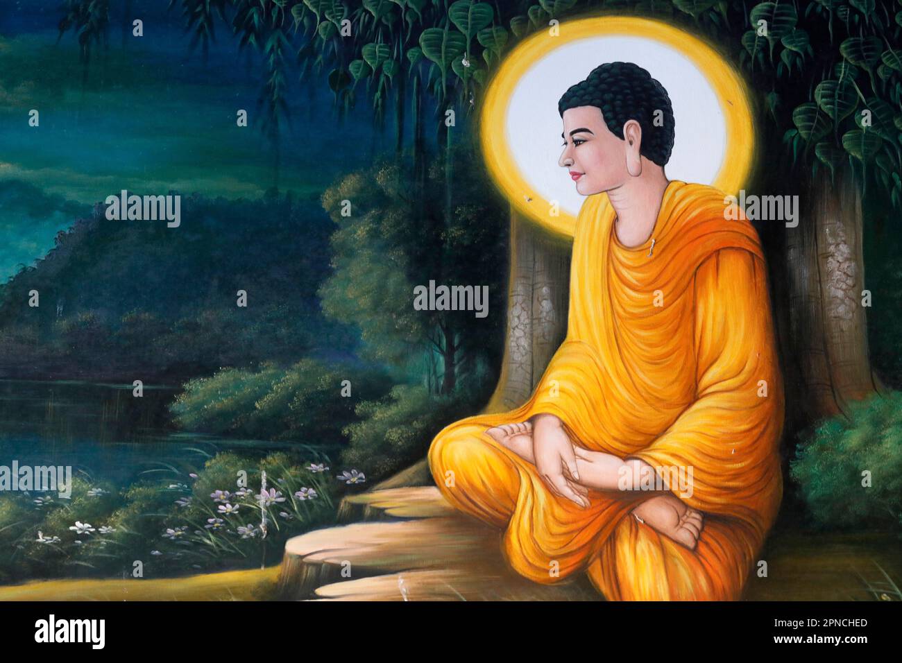 The bodhi son hi-res stock photography and images - Alamy