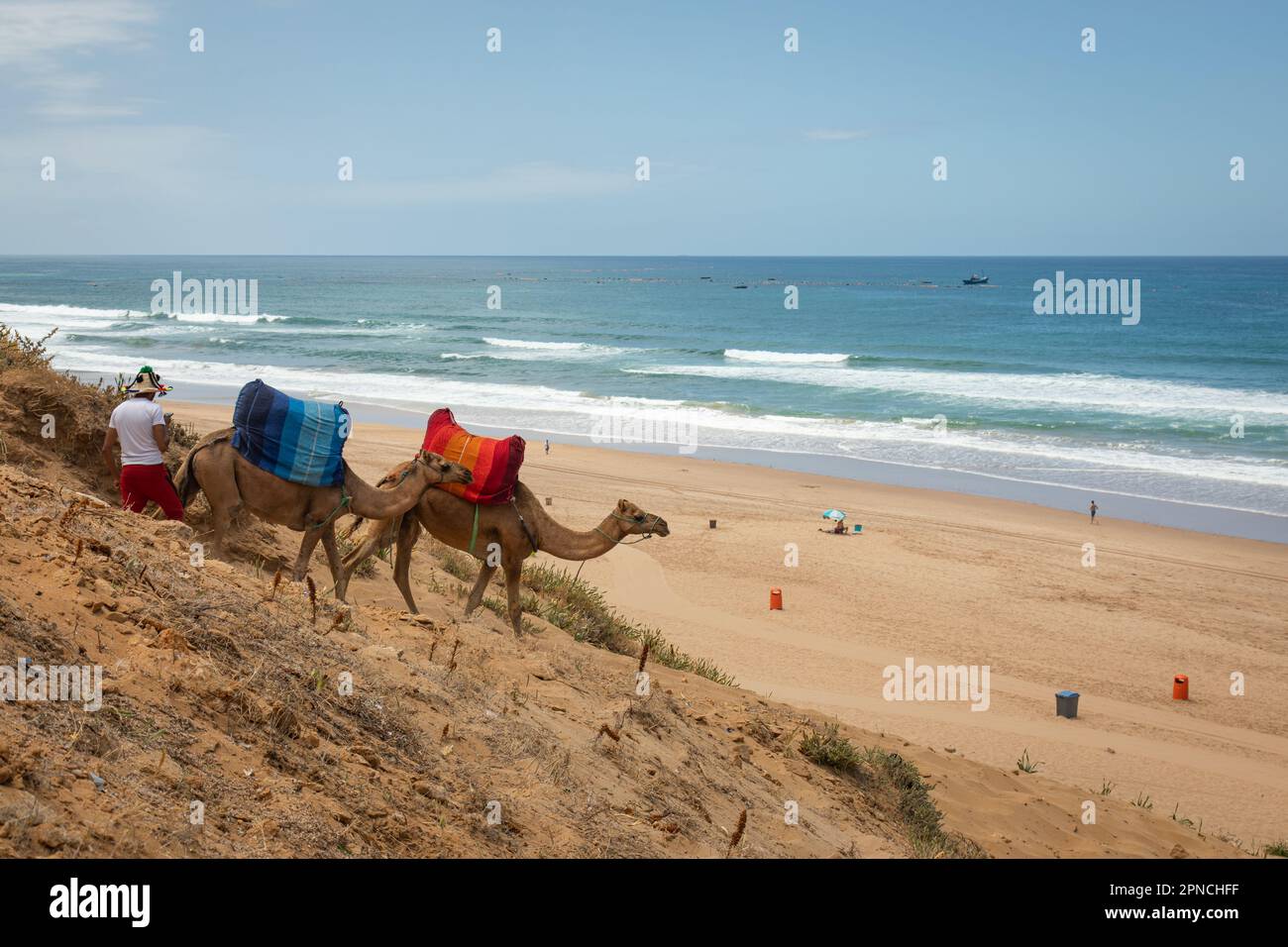 Tangier, Morocco - 2022: camel ride for tourists in the beach Stock ...