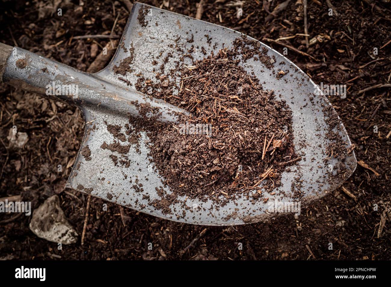 Fresh compost on a heart-shaped blade. Recycling organic waste into ...