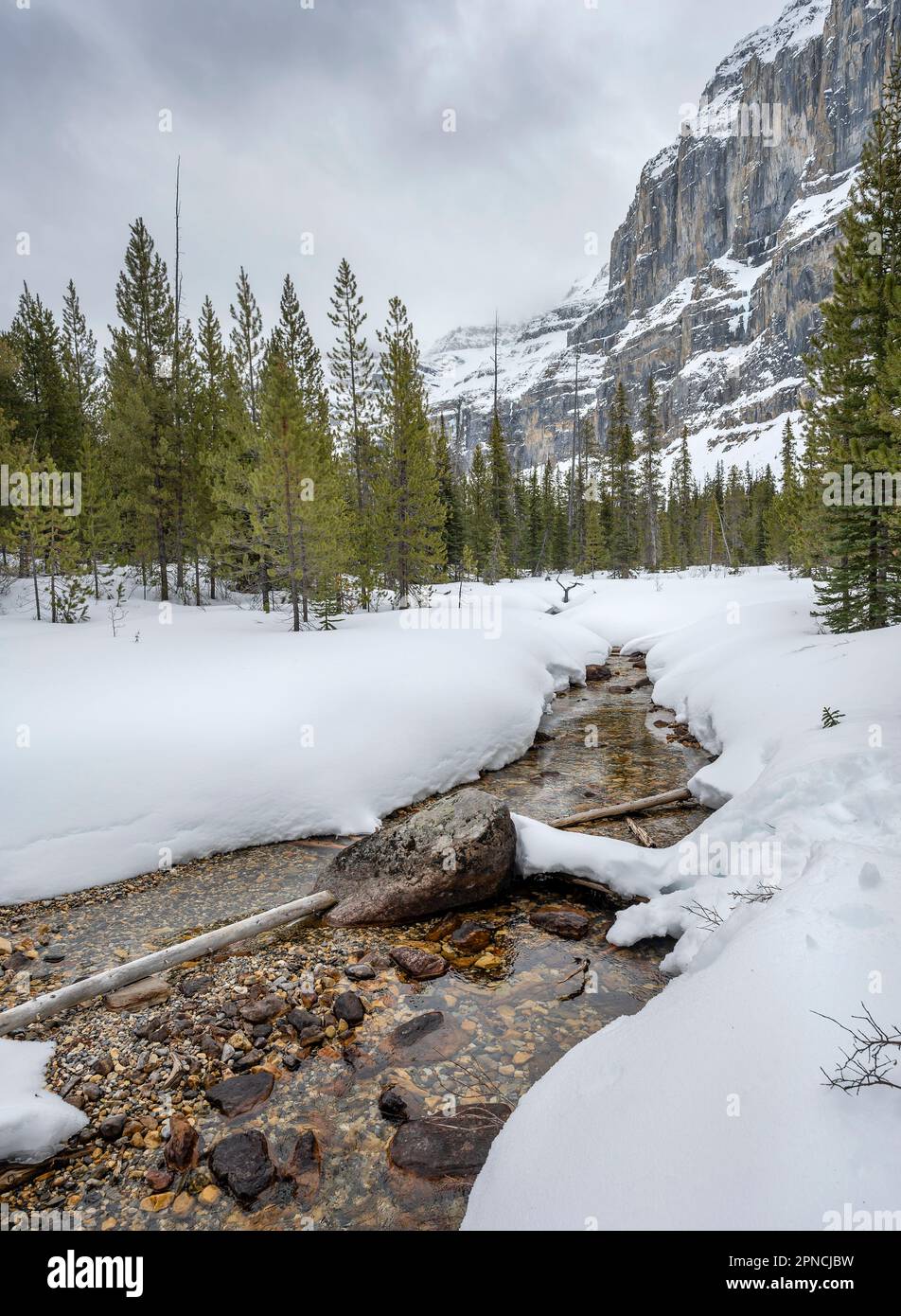 Stream flowing from Stanley Glacier on Storm Mountain in Kootenay ...