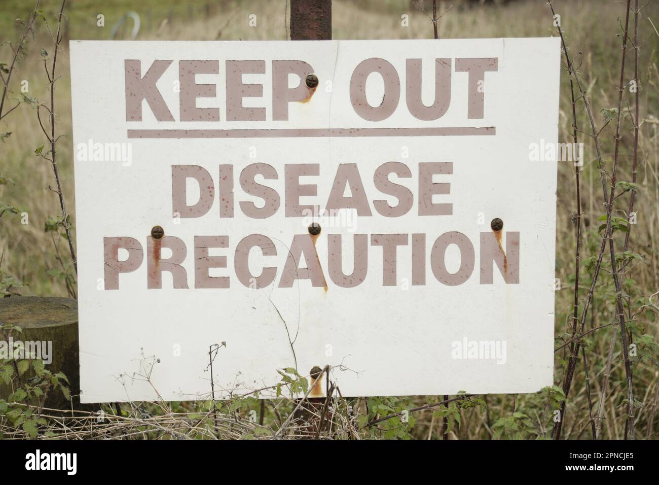 Disease Precaution Sign Stock Photo - Alamy