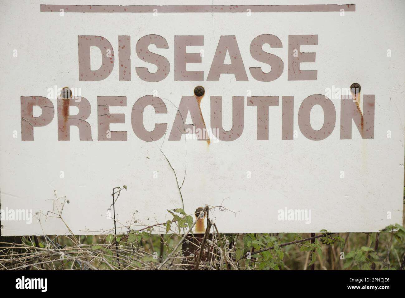 Disease Precaution Sign Stock Photo - Alamy
