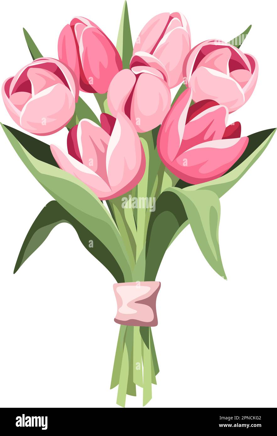 Bouquet of pink tulip flowers isolated on a white background. Vector ...