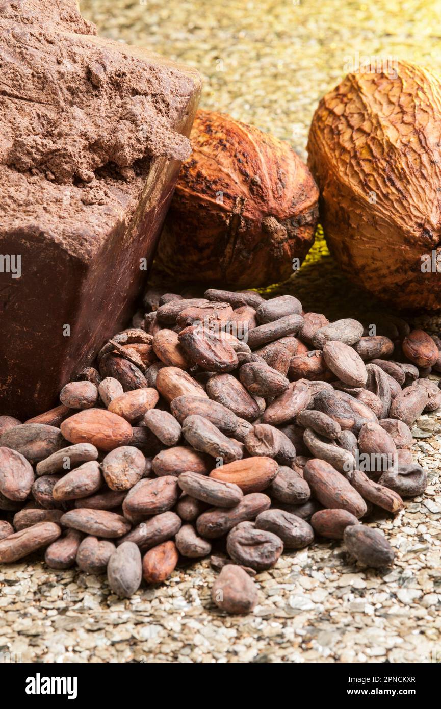Raw chocolate, cocoa beans and cocoa pods Stock Photo - Alamy