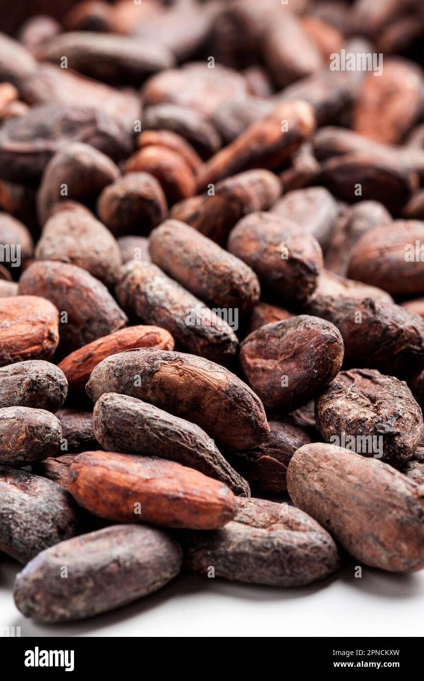 Raw chocolate, cocoa beans and cocoa pods on a white background Stock ...