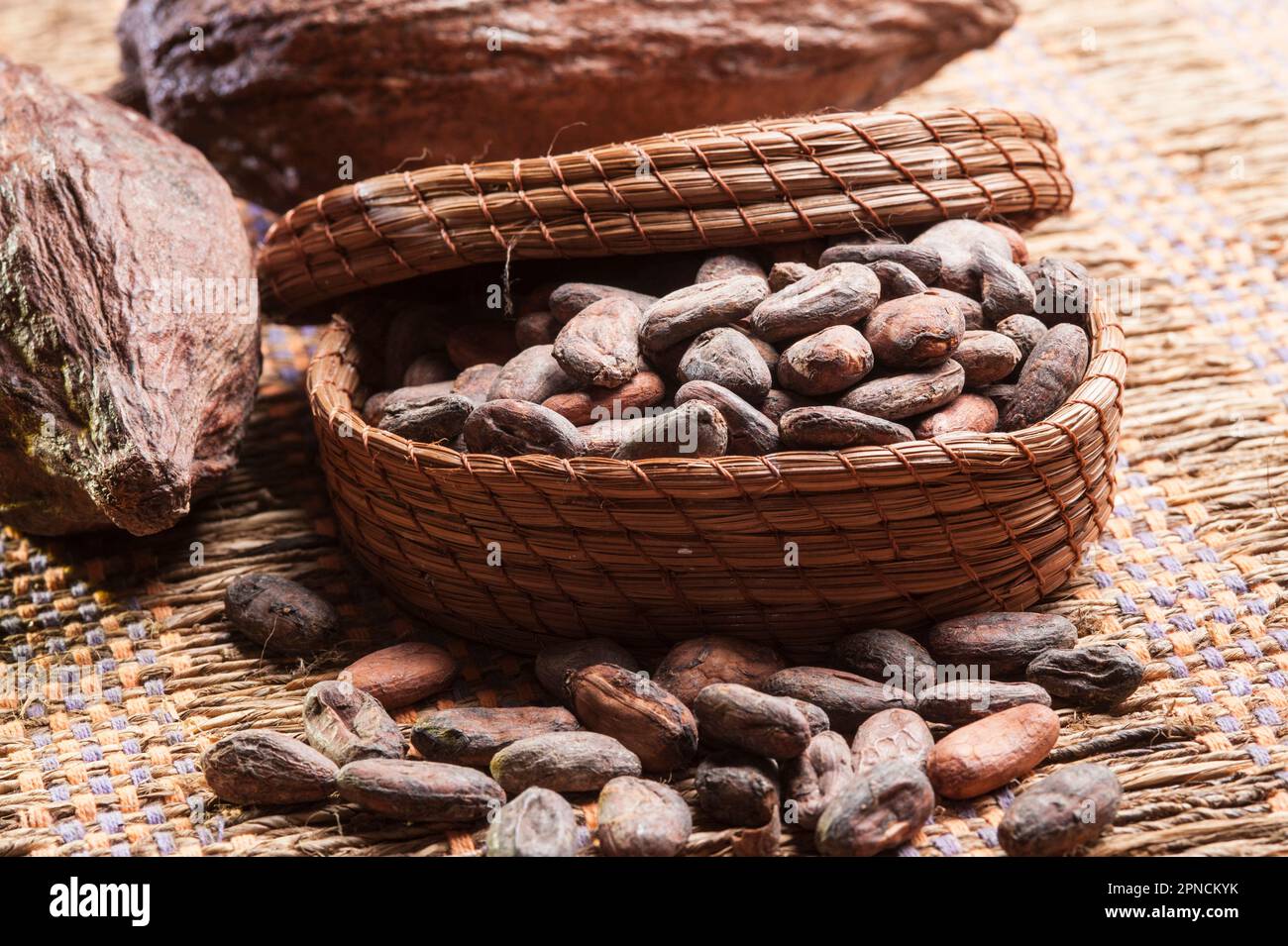 Raw chocolate, cocoa beans and cocoa pods in a woven vegetable fiber ...