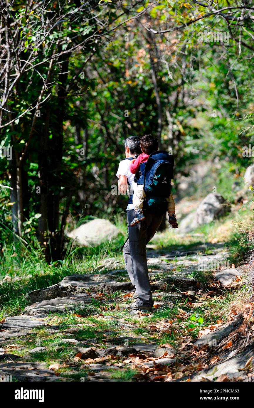 Bracchio hi-res stock photography and images - Alamy