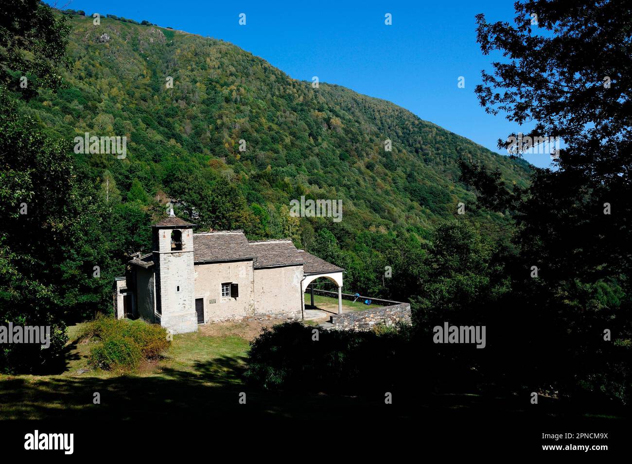 Bracchio hi-res stock photography and images - Alamy