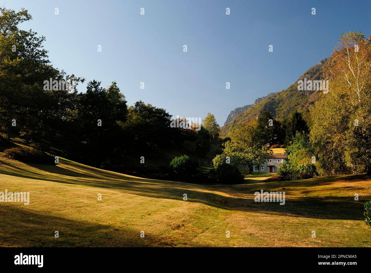 Alpe Vercio can be reached with a walk starting from the hamlet of ...