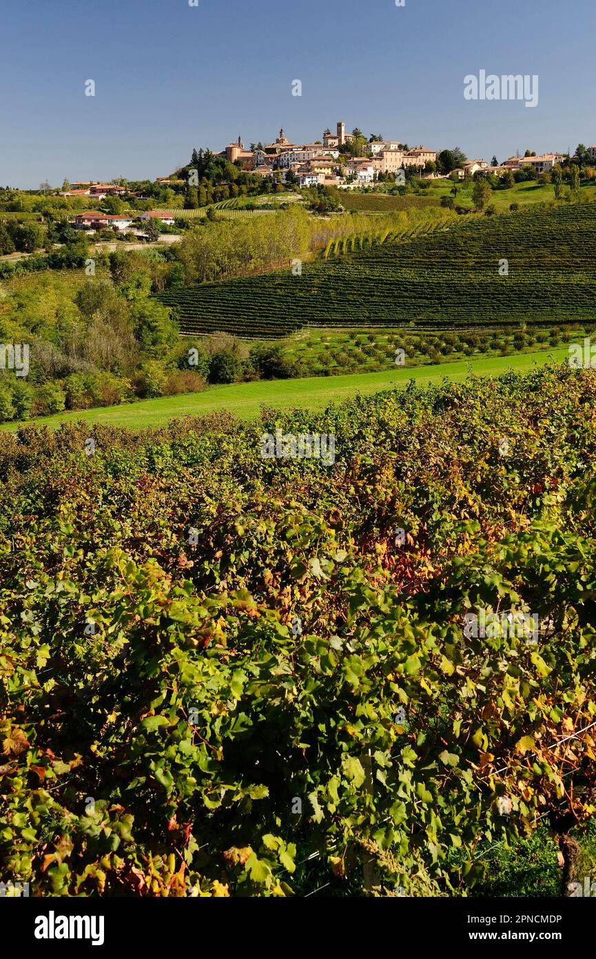 La Morra, around the town a beautiful but man-made land characterized ...