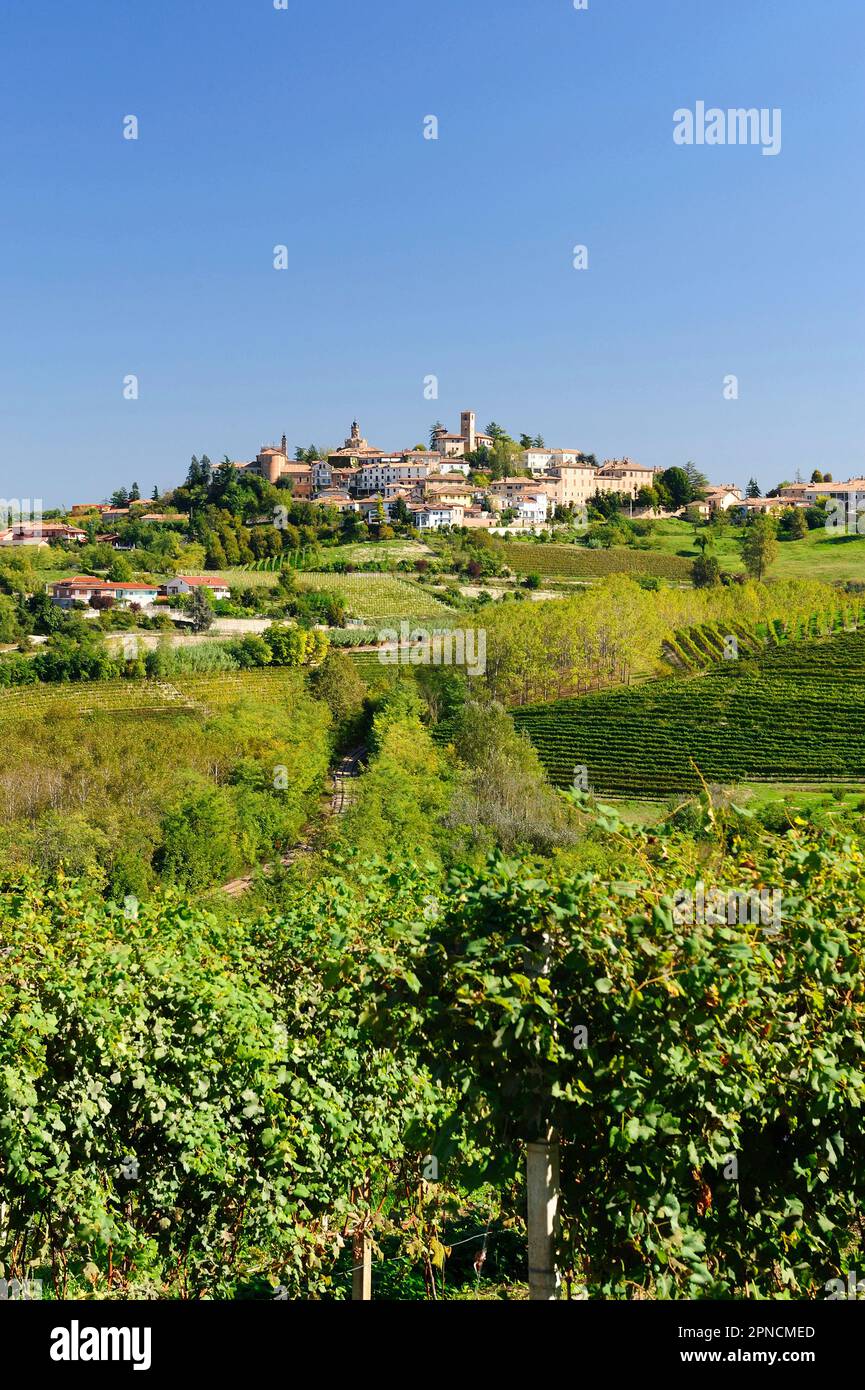 La Morra, around the town a beautiful but man-made land characterized ...