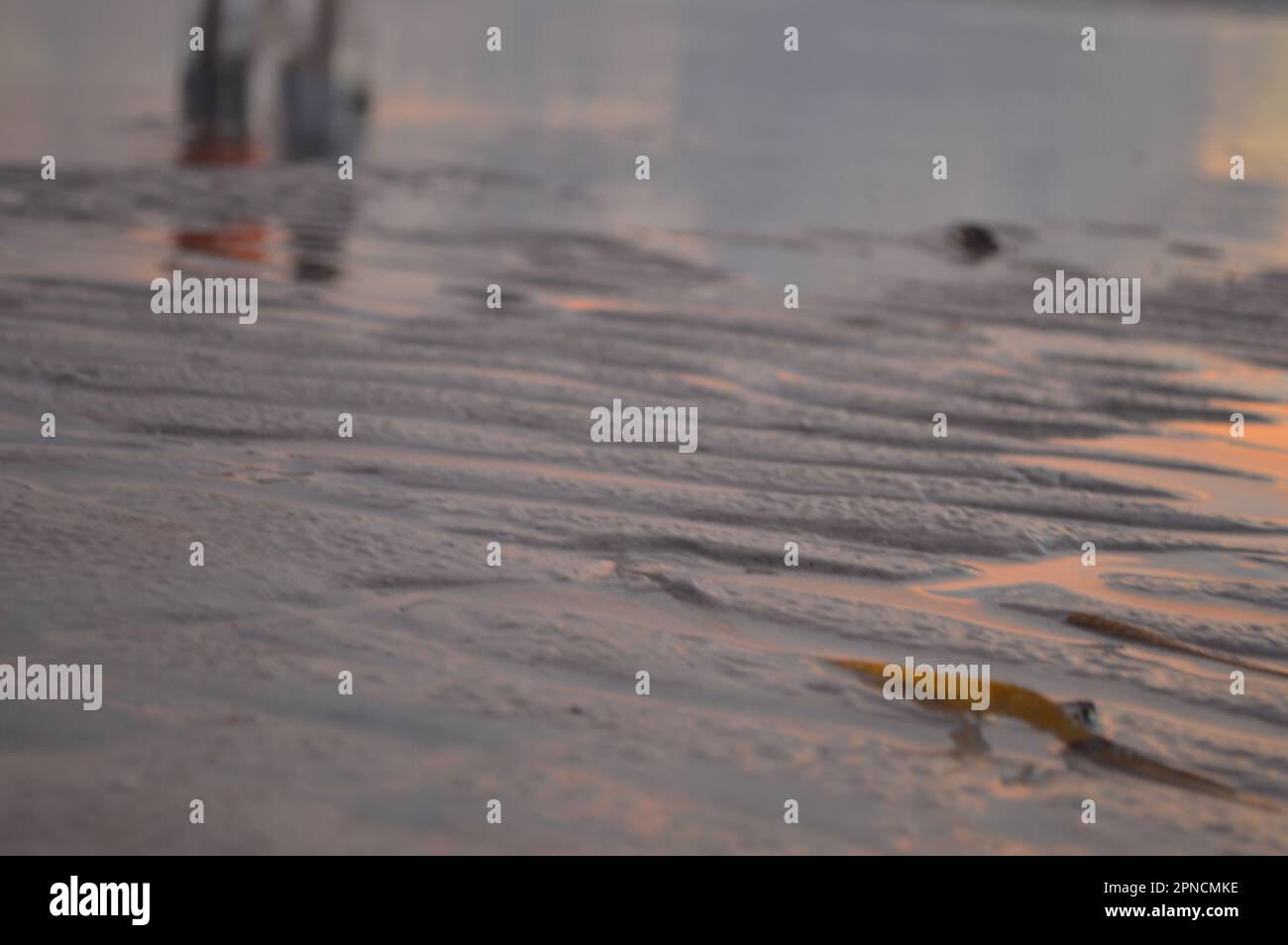 Reflection of a couple walking on a Florida beach Stock Photo - Alamy
