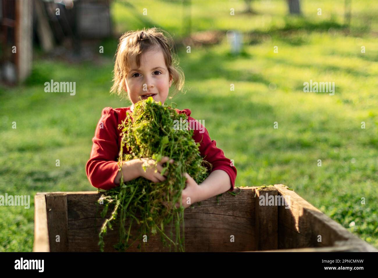 Girl throws hi-res stock photography and images - Alamy