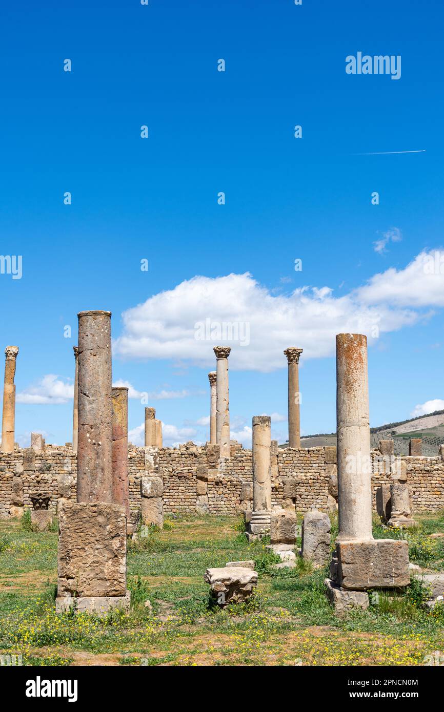 View of Roman columns in the ancient city of Cuicul-Djemila. UNESCO ...