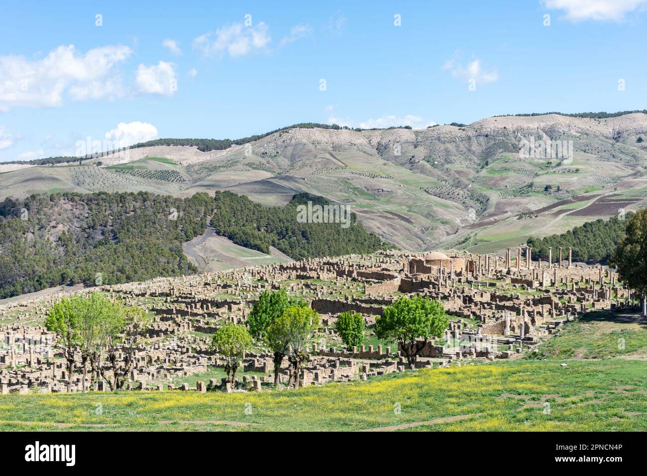 Panoramic view of the Roman ruins of the ancient city of Cuicul-Djemila ...