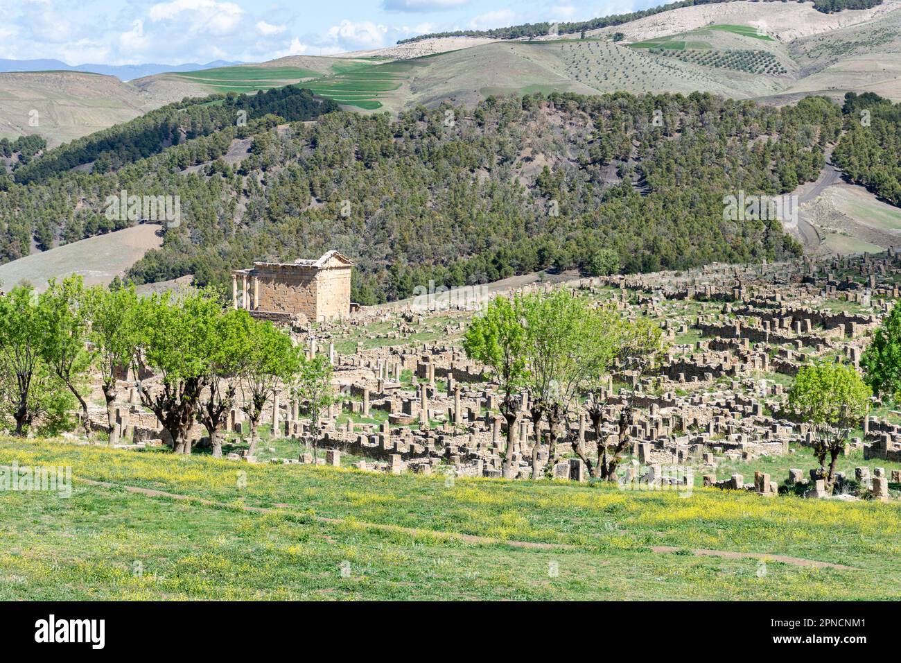 Panoramic view of the Roman ruins of the ancient city of Cuicul-Djemila ...
