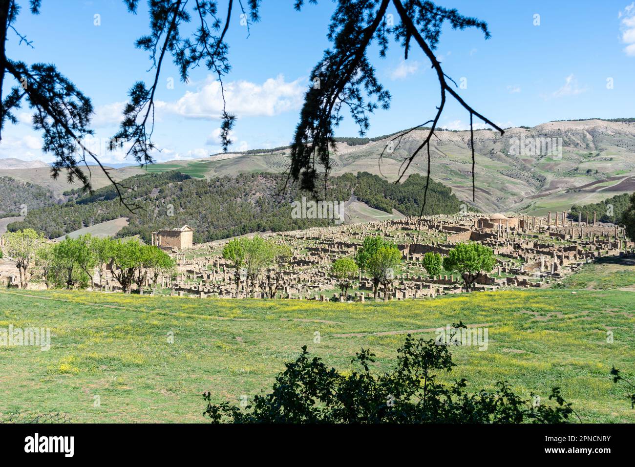 Panoramic view of the Roman ruins of the ancient city of Cuicul-Djemila ...