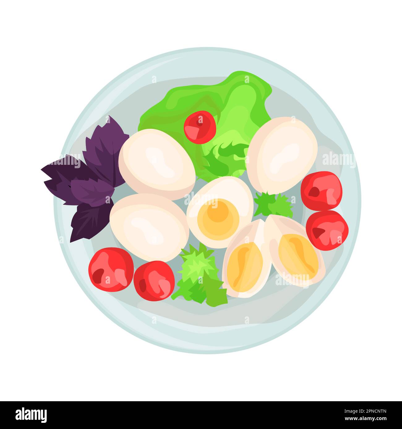 Boiled eggs with tomatoes illustration in color cartoon style. Editable vector graphic design ...