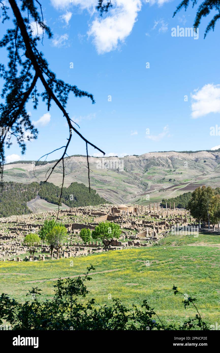 Panoramic view of the Roman ruins of the ancient city of Cuicul-Djemila ...