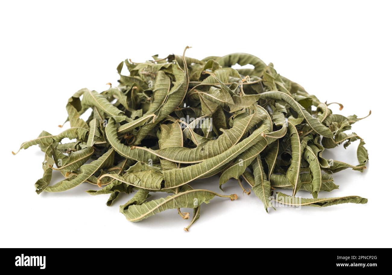 Dried Lemon verbena leaves isolated on white background Stock Photo - Alamy