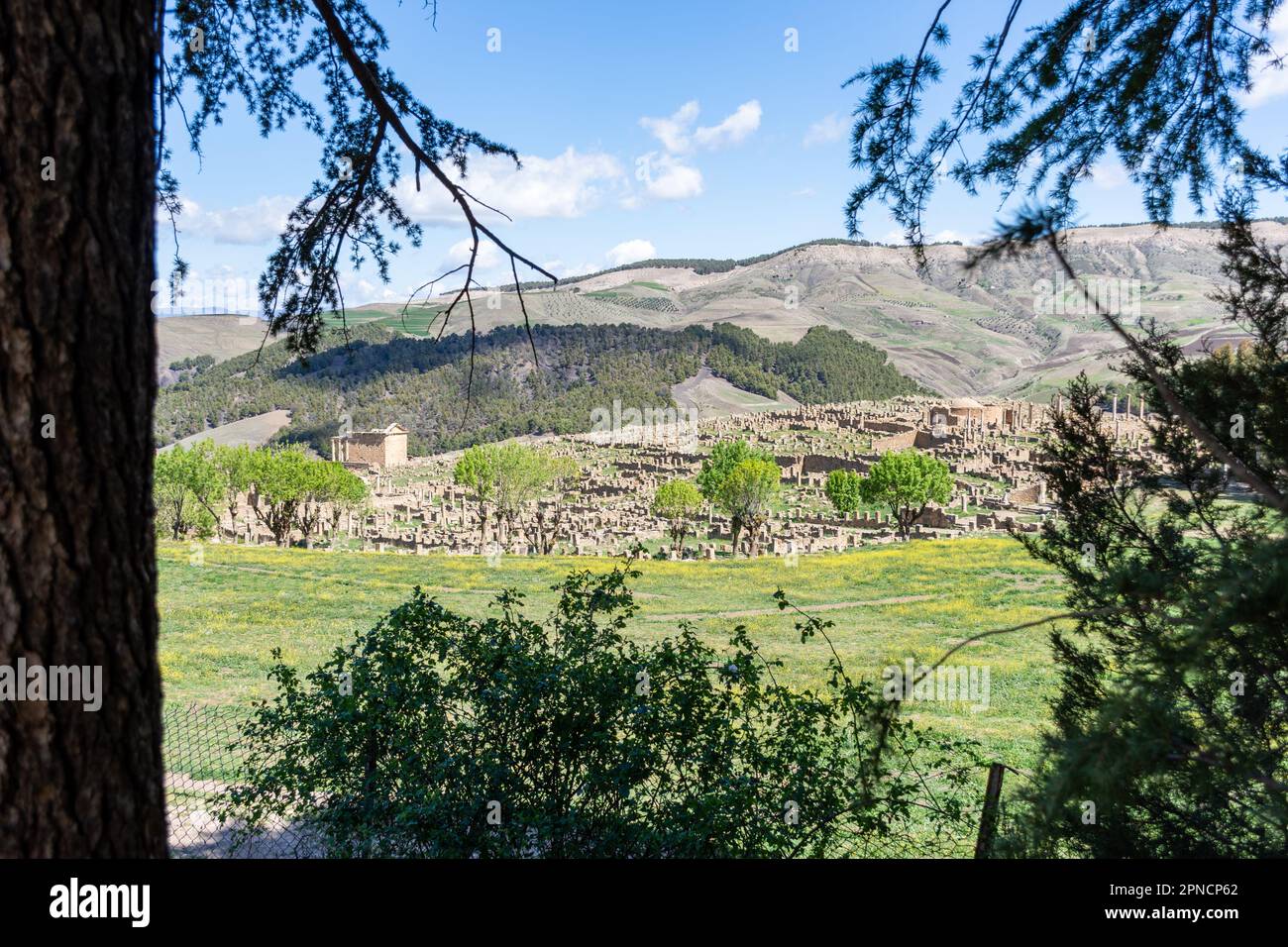 Panoramic view of the Roman ruins of the ancient city of Cuicul-Djemila ...