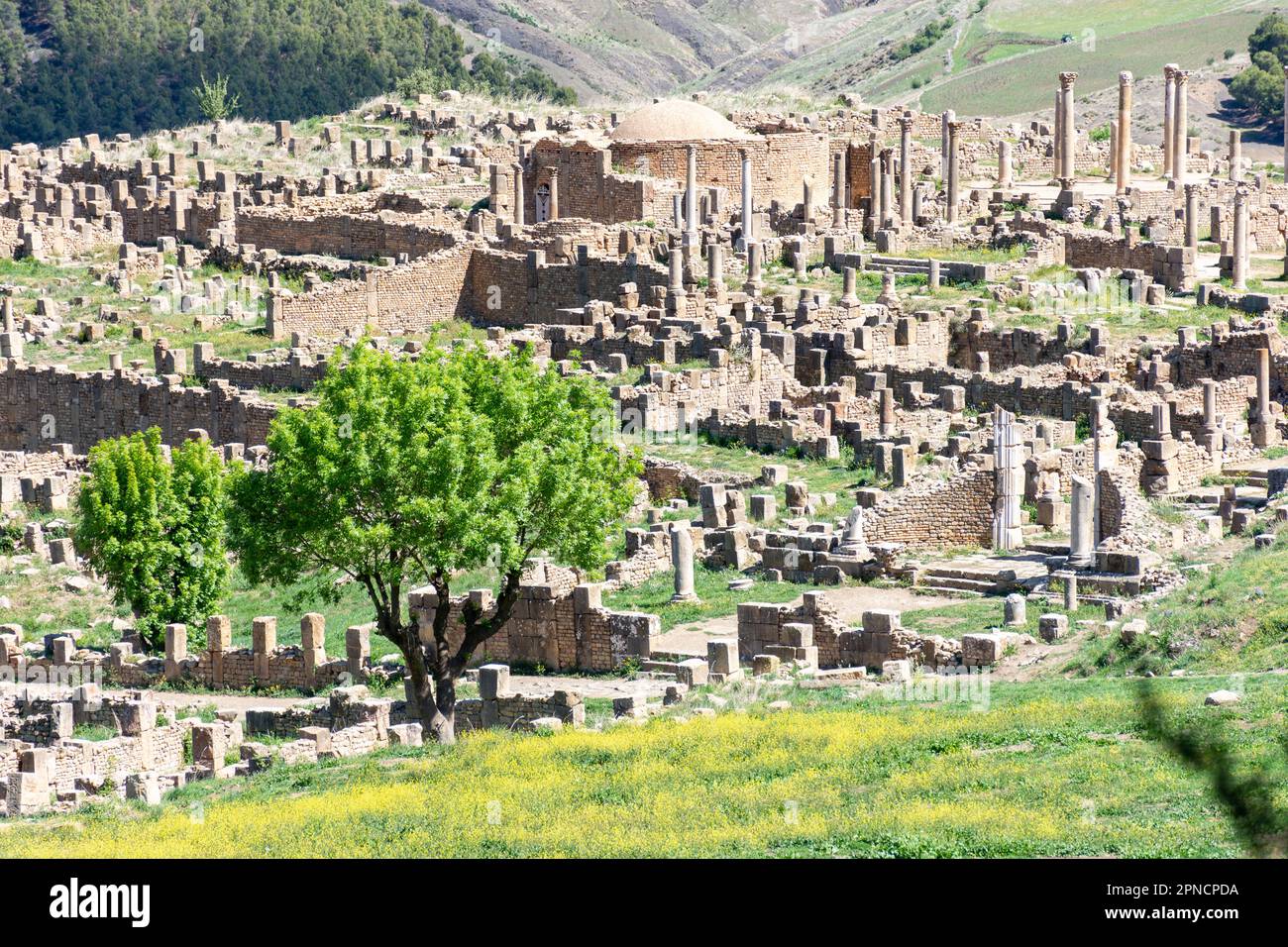 Panoramic view of the Roman ruins of the ancient city of Cuicul-Djemila ...