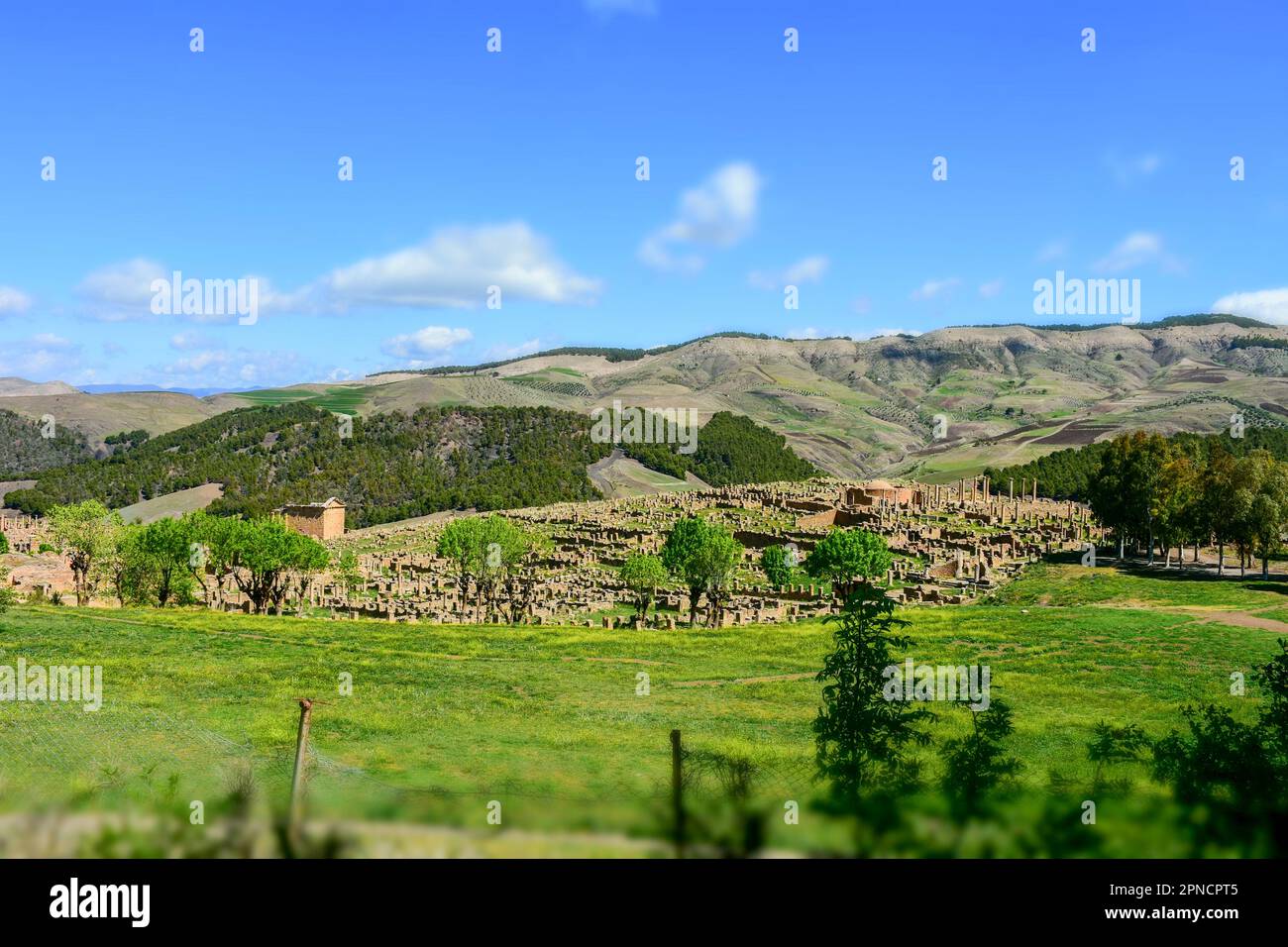 Panoramic view of the Roman ruins of the ancient city of Cuicul-Djemila ...